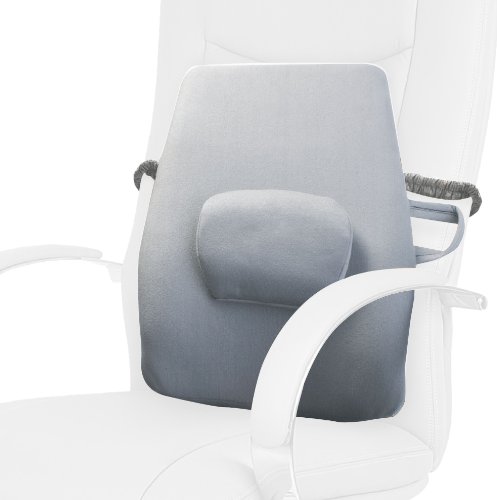 Buy Flamingo Back Rest - Large Online at Low Prices in India - Amazon.in