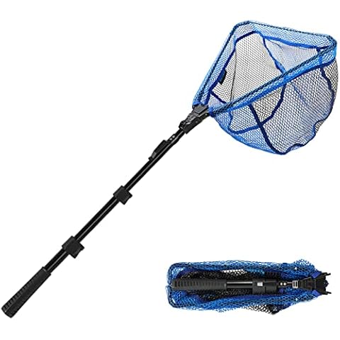 The 6 Best Telescoping Fishing Nets of 2024 (Reviews) - FindThisBest