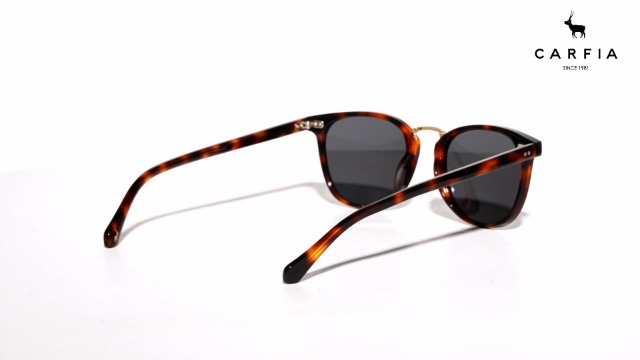 Watch CARFIA Fashion Acetate Polarized Womens Sunglasses CA5015 on ...