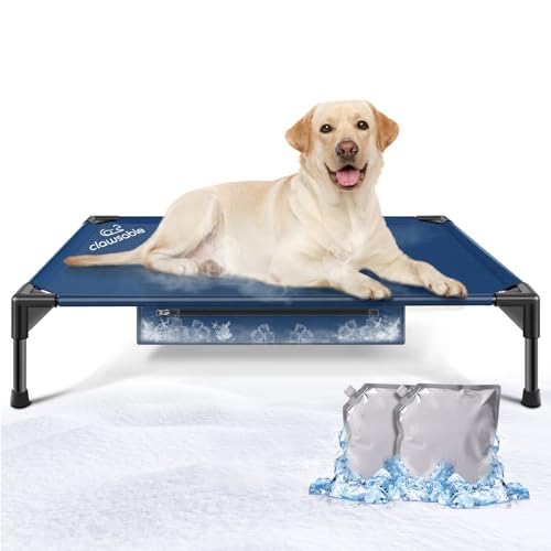 Dog Cooling Bed – The 15 best products compared - Wild Explained