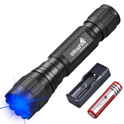 Best Blue Light Torch - Internet Eyes