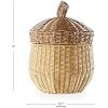 Amazon.com: Kaplan Early Learning Acorn Washable Wicker Floor Basket ...