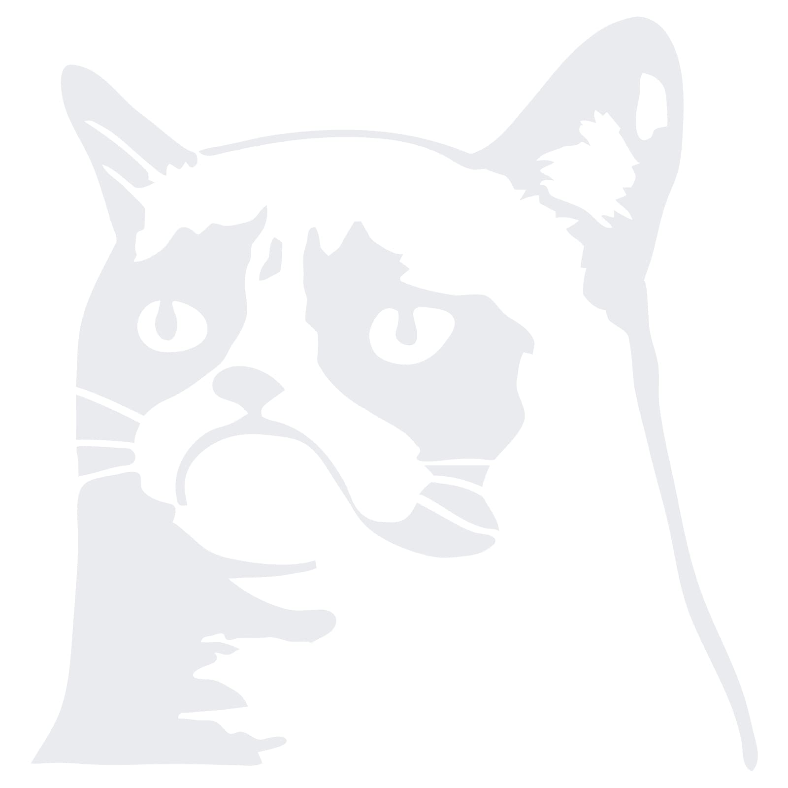 Grumpy Cat Face Outline