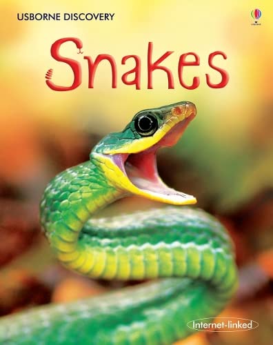 Discovery Snakes : Rachel Firth, Jonathan Sheikh-Miller: Amazon.co.uk ...