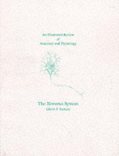 An Illustrated Review of Anatomy and Physiology: The Nervous System ...