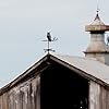 Amazon.com : Wind Weathervanes for Roofs Mount with Creative Black Owl ...
