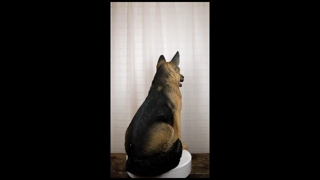 Watch Large Lifelike Realistic German Shepherd Dog Statue on Amazon Live