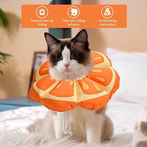 Avont Collier conique réglable pour chat, mignon, collier de ...