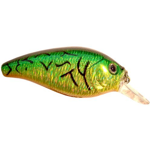 Buy Matzuo Asai Shad Fishing Bait (Fire Tiger, 2-Inch) Online at Low ...