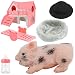 Amazon.com: Eummy Silicone Pig Mini Silicone Animals Pig Set,5 Inch Pig ...