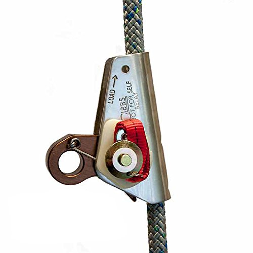 Buy Gibbs Ascenders Online at Low Prices in India - Amazon.in