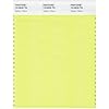 Pantone 13-0630 Nylon Brights Color Swatch Card - House Paint - Amazon.com