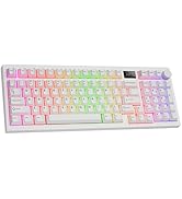 Amazon.com: TECWARE Spectre 75% RGB Mechanical Gaming Keyboard with ...