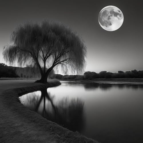 Amazon Musicでarastarの잊혀진 달의 그림자を再生する