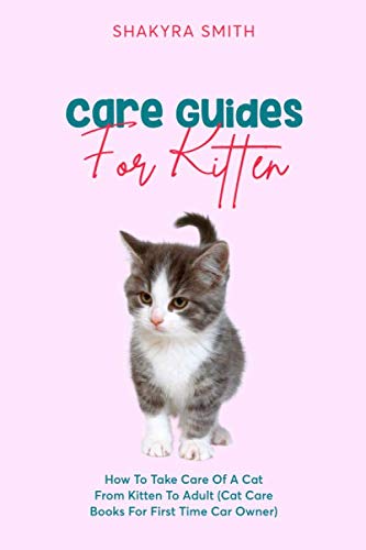 Care Guides For Kitten: How To Take Care Of A Cat From Kitten To Adult ...