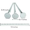 Amazon.com : EISENSP 10-Inch Heavy-Duty Landscape Stakes, Galvanized ...