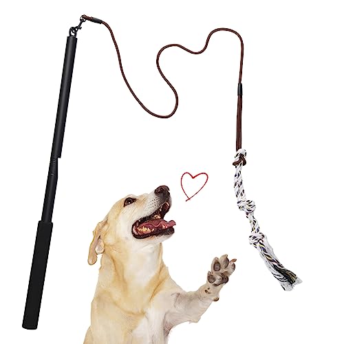 Get Your Dog's Tail Wagging with these Top 10 Flirt Poles - A ...