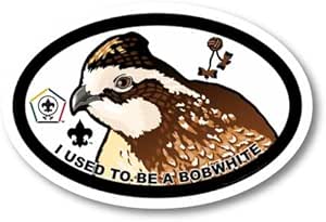 Amazon.com: ClassB Realistic Bobwhite Wood Badge Oval Magnet - 4x6 ...