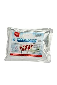 Buy RGS Vet Cool Da Cow Powder | Health Supplement for Cow | Essential ...
