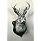 Amazon.com: ART.COM Wall Art Print Stuffed Jackalope, 12" x 18 ...