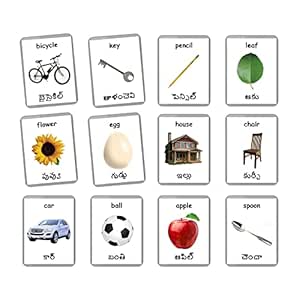 Buy Telugu English Bilingual Flash Cards | Montessori Cards | Laminated ...