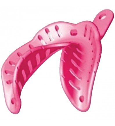 Amazon.com: Massad Edentulous Low Temp Tray 1L; 12 Trays : Industrial ...