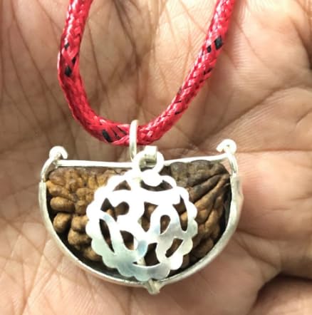 All Stone Ek Mukhi Rudraksha Original Certified Nepali 1 Mukhi ...