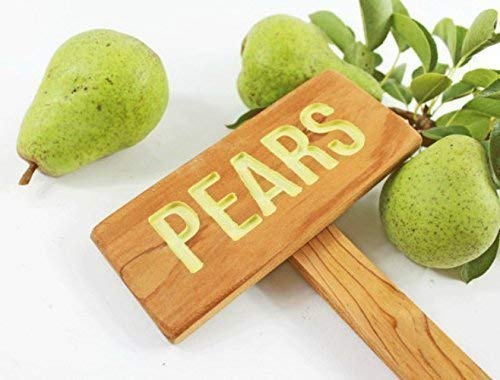 Amazon.com: PEARS Sign, Outdoor Sign, Yard Art, Tree Marker, Shrub Sign ...