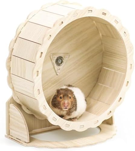 XFLYP Hamster Wheel 26cm, Wooden Silent Pets Exercise Wheel With Height ...