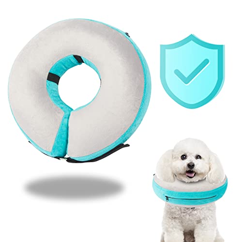 Hondenkegelhalsband – De 15 beste producten vergeleken - Wild uitgelegd