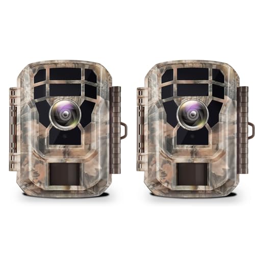 Mini Wildkamera – Die 15 besten Produkte im Vergleich - HundeINFOPortal