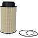 Amazon.com: XYZIL Fuel Filter Water Separator P550821 3004473C91 ...