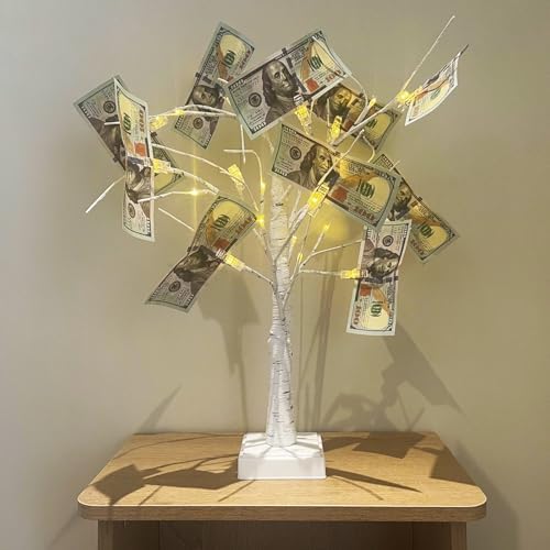 Amazon.com: Money Tree, Birch Tree with Lights, 2FT 24LED Gift Card ...