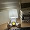 2025 New Modest Mike Lamp, Shy Boy Table Lamp, OMG That Wiener Switch ...