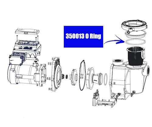 350013 O-318 Lid O-Ring - Compatible with Pentek Pentair IntelliFlo ...
