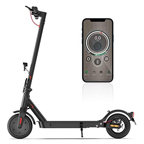 Tier Roller Kaufen – Die 15 besten Produkte im Vergleich ...