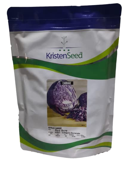Semilla de Repollo Col Morado Bolsa de 1 Libra Para Sembrar Kristen ...