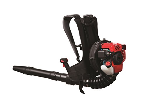 Best Battery Powered Backpack Blower in 2024