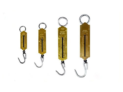 Tubular Spring Balances Set 100kg pack of 1 : Amazon.in: Health ...