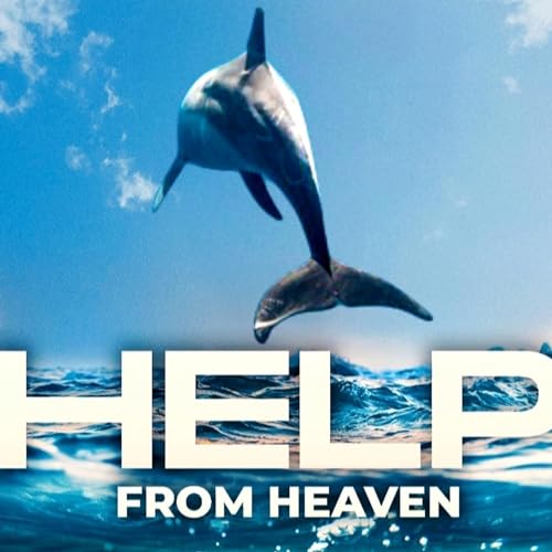 Amazon.com: Help from Heaven: Miracles Happen When You Believe (Audible ...