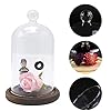 Amazon.com | Smoking Cloche with Wood Base for Smoking Cocktail Dessert ...