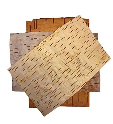 Poojan Samagri Bhojpatra, Bhoj Pattar, Original Bhoj Patra for Yantra ...