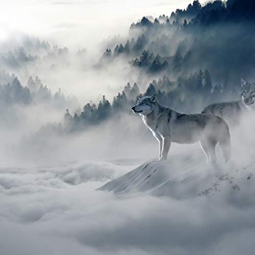 Tides of Time song by Leif Ford from Gleaming Enchantment of Summer on ...