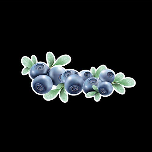 Amazon.com: Blueberry Vinyl Decal - 6" wide x 2.75" tall : Tools & Home ...