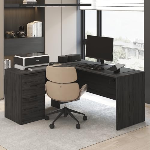 Amazon.com: Furinno Roger 60 Inch L-Shaped Executive Desk with File ...