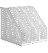 Amazon.com: SAYEEC Magazine File Holder Folder Storage Desktop 4 ...