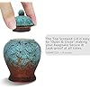 Amazon.com: M MEILINXU Small Urns for Human Ashes Keepsake, Urn for ...