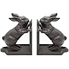 Amazon.com: Remenna Decorative Book Ends Cast Iron Cute Bunny Bookends ...