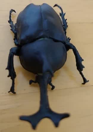 Amazon.co.jp: Beetle Insect Figure, Yamato Beetle, Moving, Realistic ...