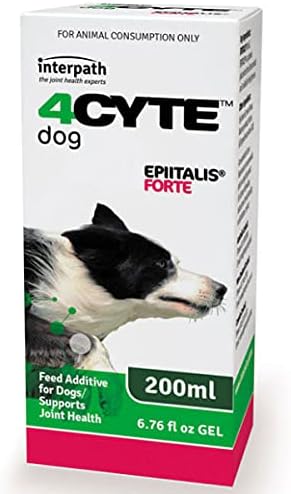 4CYTE Epiitalis Forte Gel for Dogs (200ml) : Amazon.com.au: Pet Supplies